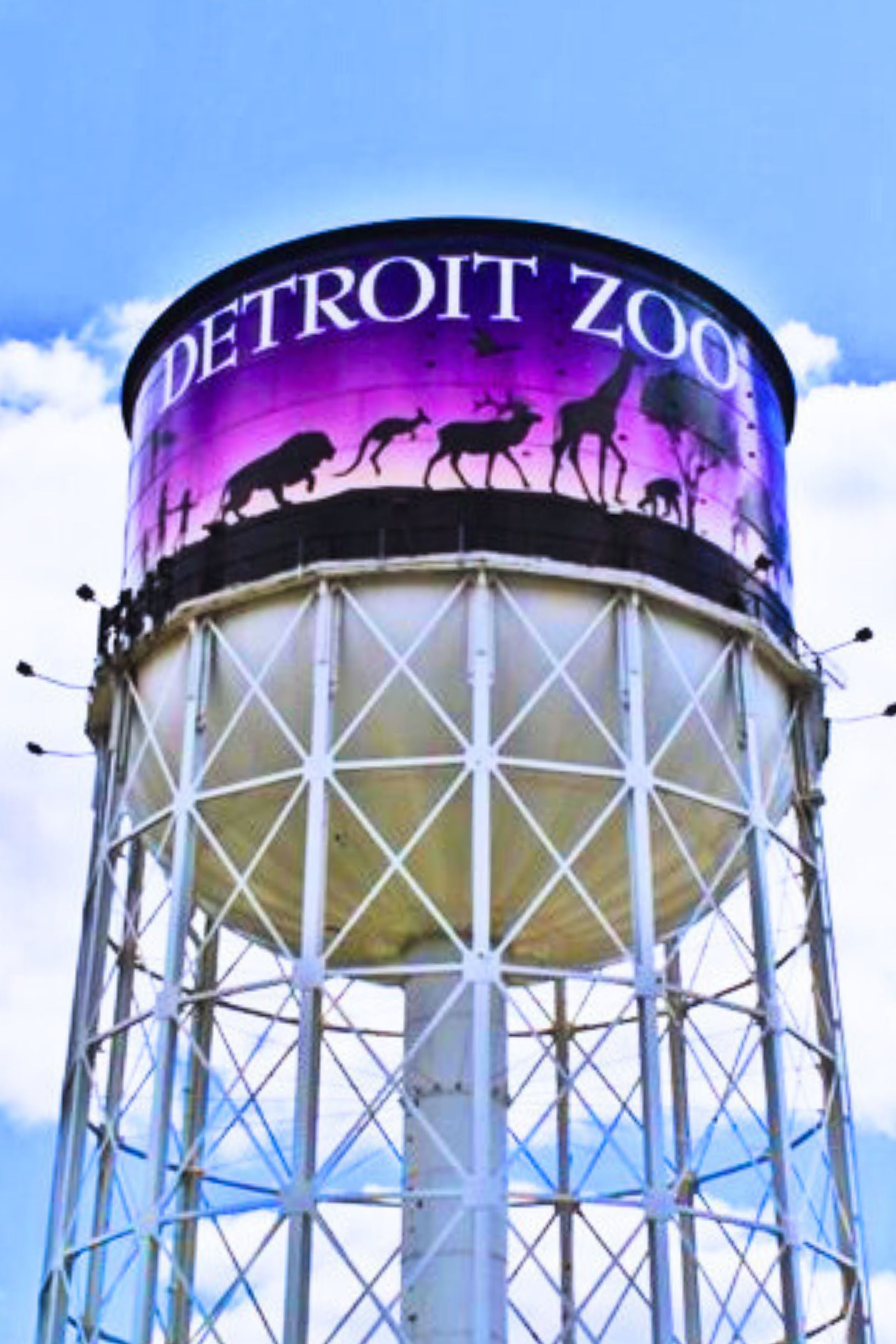 Detroit Zoo All – Rebel Nell